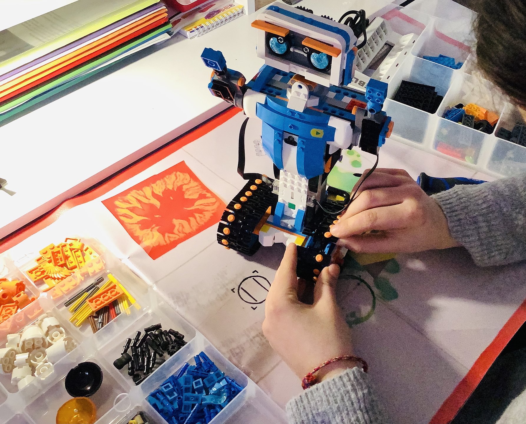 Programmieren lernen mit codary - Roland Berger Stiftung